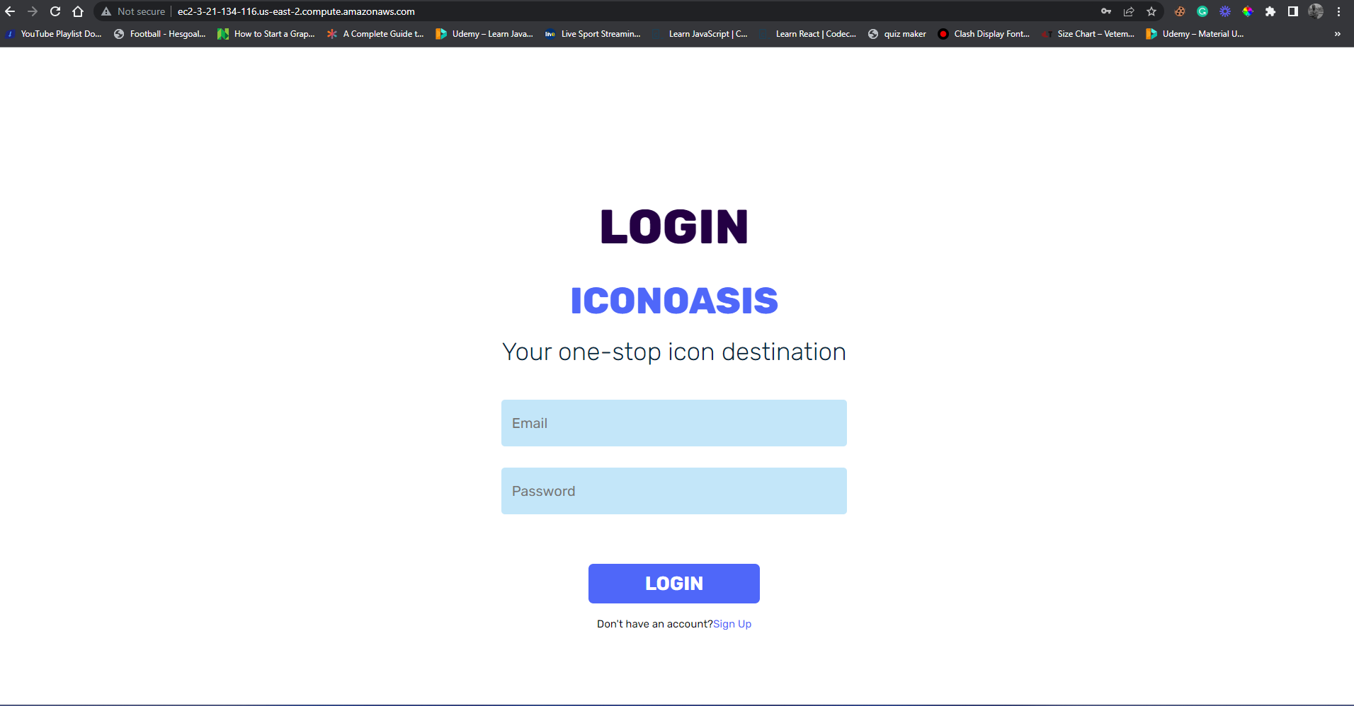 ICONOASIS LANDINGPAGE